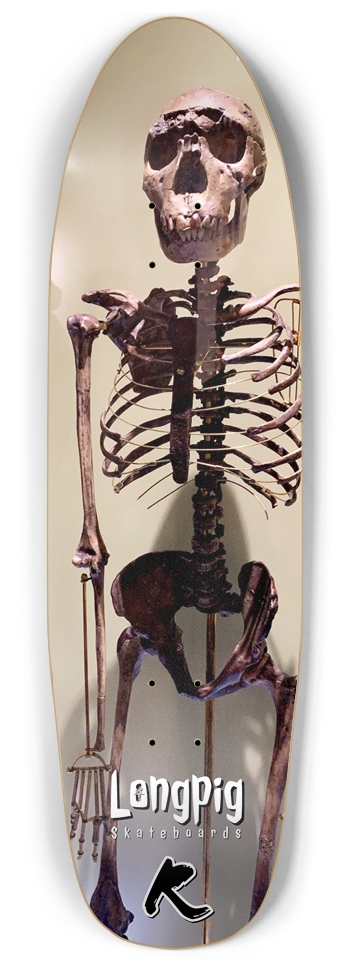 LongPig Skateboards (Skeleton asymmetrical egg) Punk Nose Pool Shape by ...
