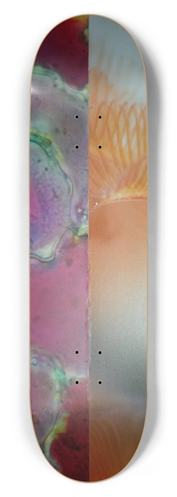 chi station 8-1/2 Skateboard Deck