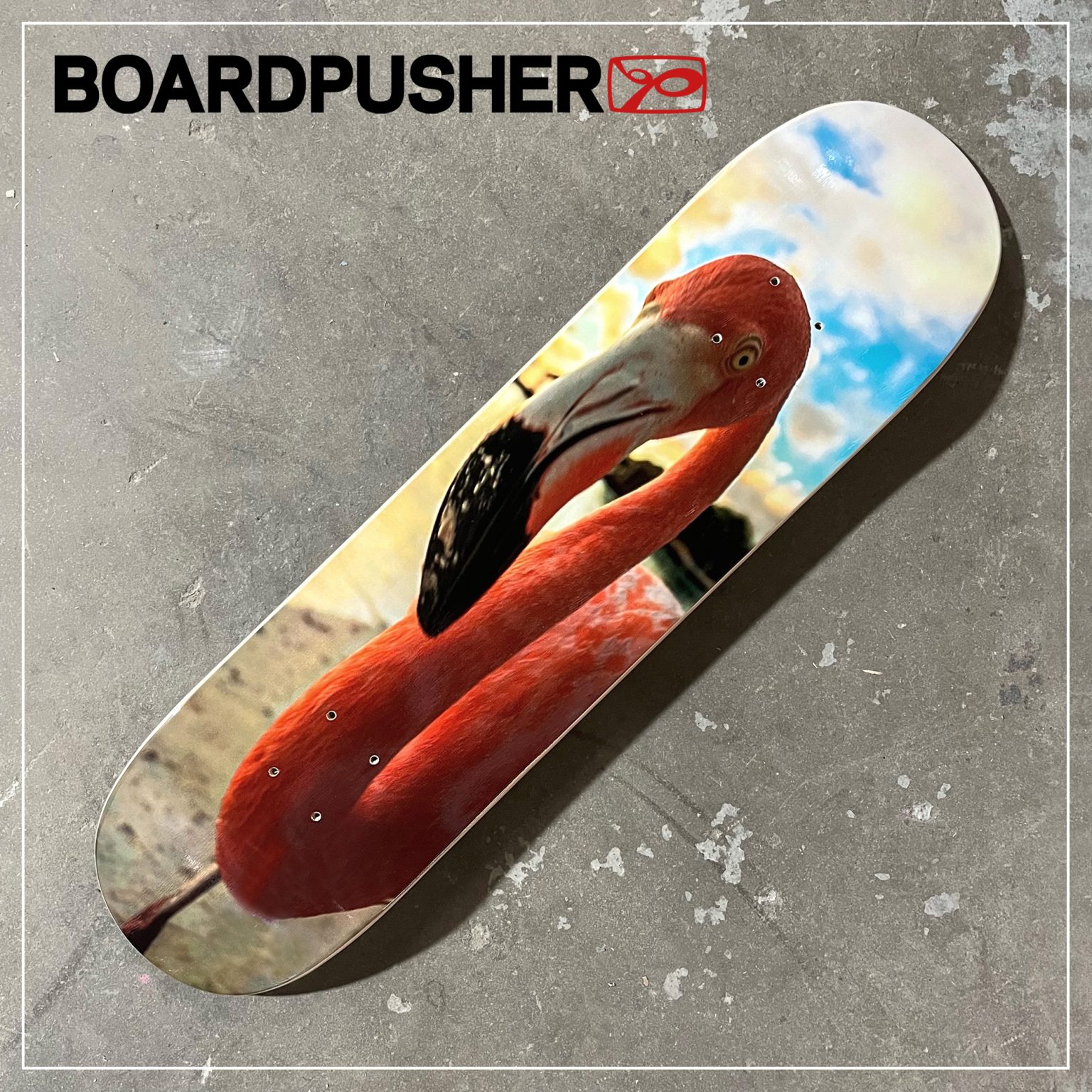BoardPusher Blog - BoardPusher Custom Skateboards
