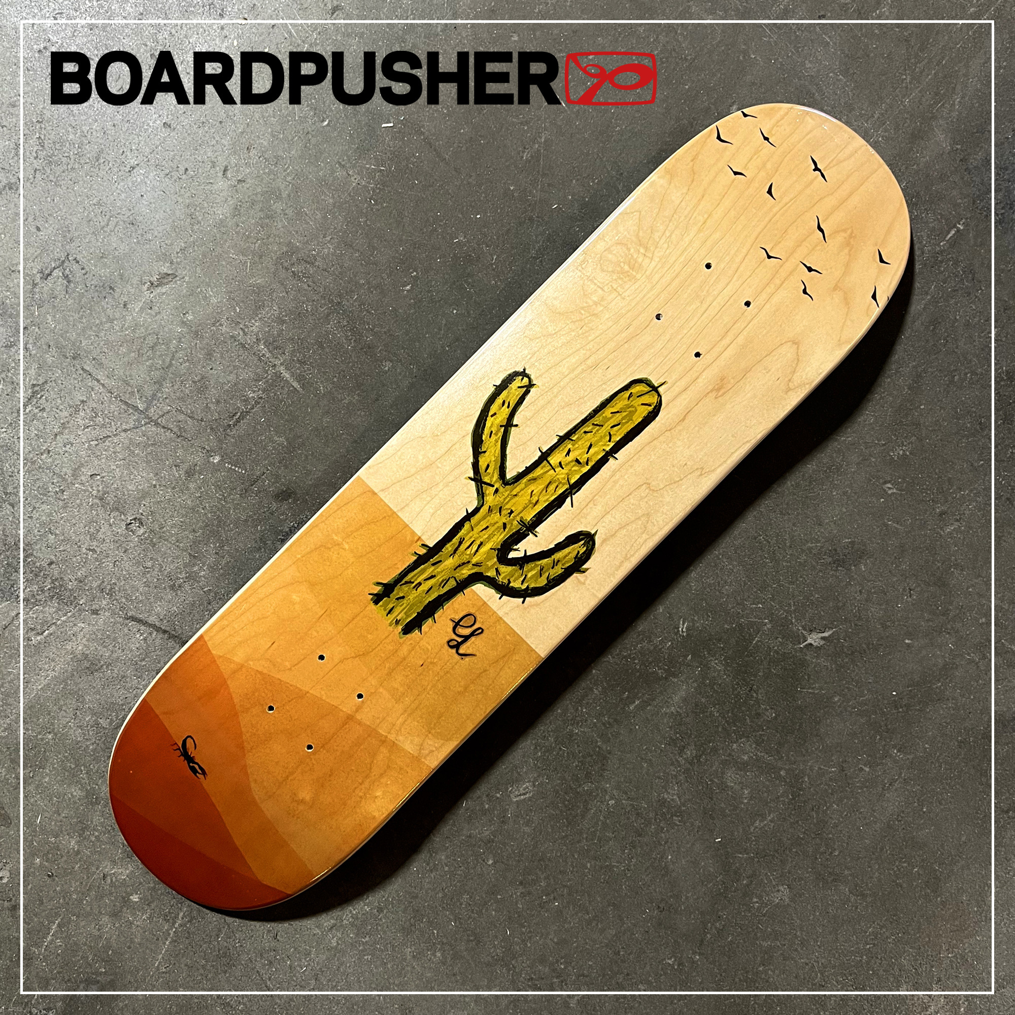 SPIKE by EMMA LITWILLER - Boardpusher Blog