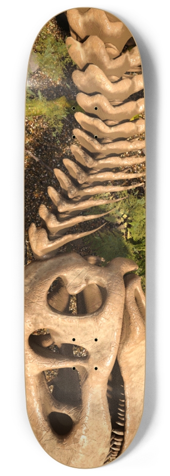 Tyrannosaurus Rex Skeleton 9 Inch Skateboard by Dino_boards
