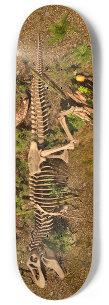 Tyrannosaurus Rex Skeleton 9 Inch Skateboard by Dino_boards